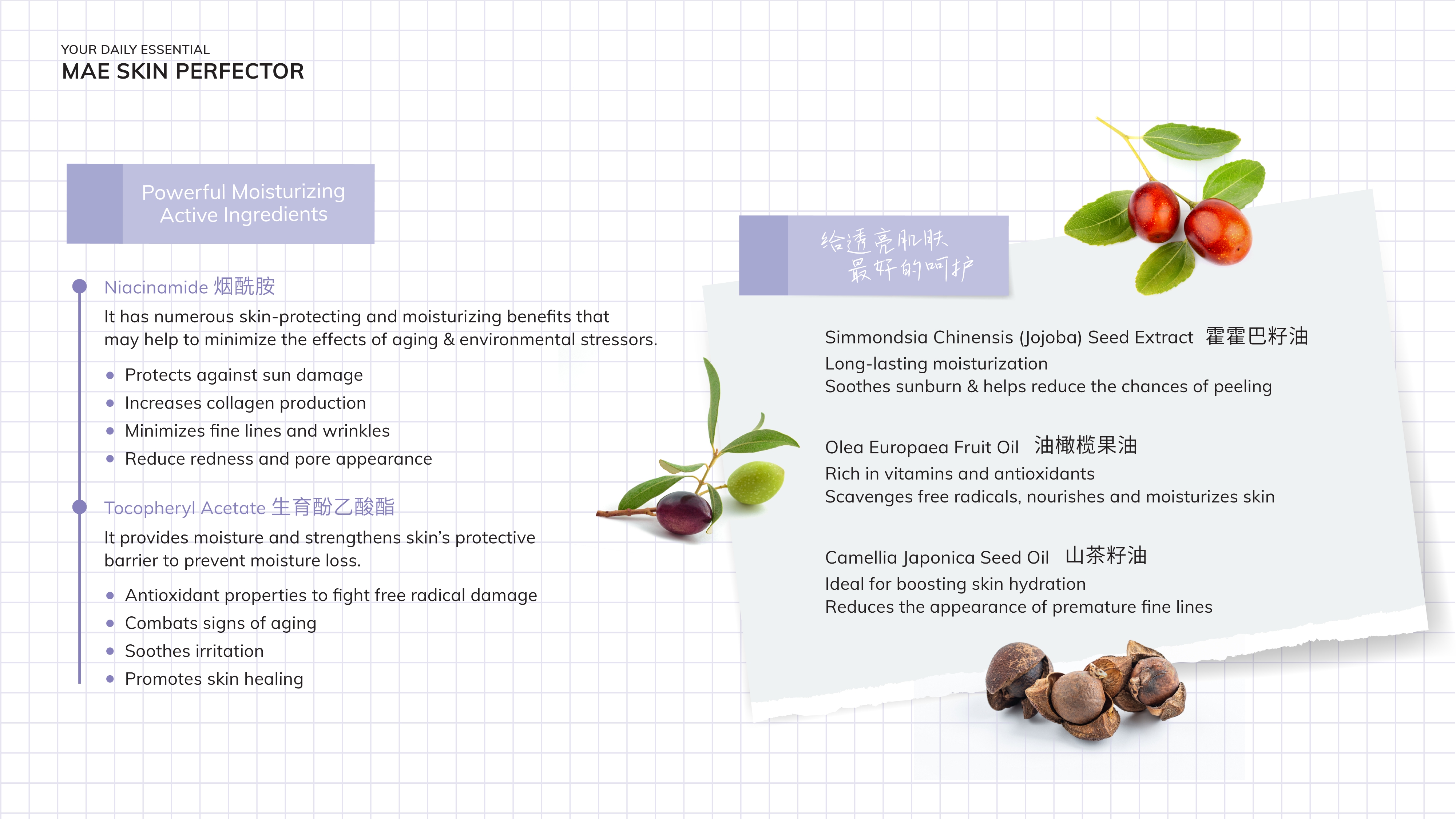 MAE GLOBAL - Product Details