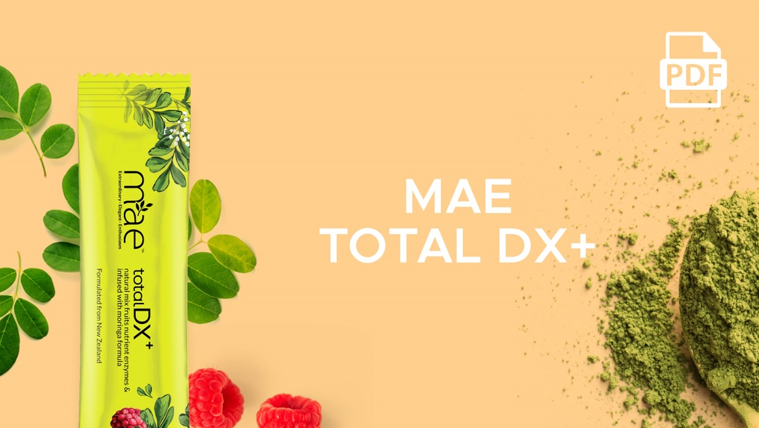 MAE GLOBAL - MAE TRAINING