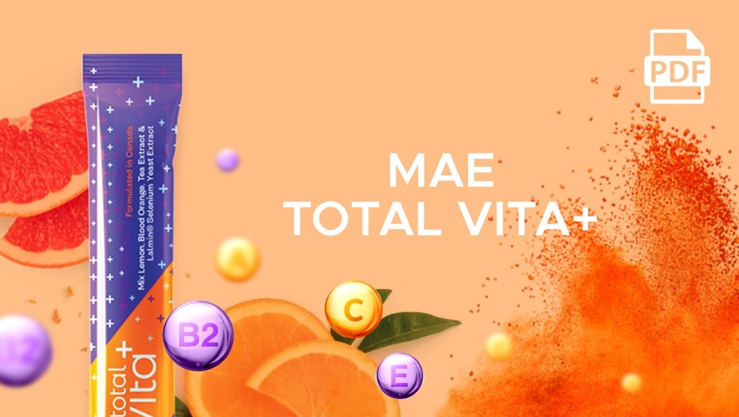 MAE GLOBAL - MAE TRAINING